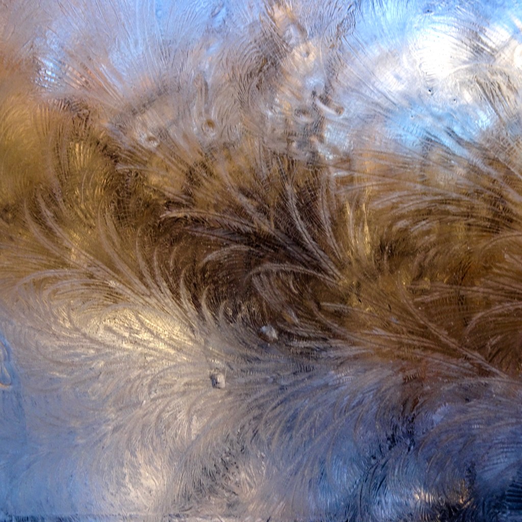 Spring Dream – Leaf And Twig