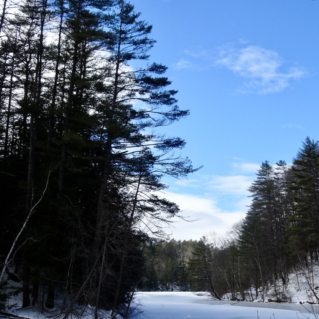 White River Blue Sky – Leaf And Twig