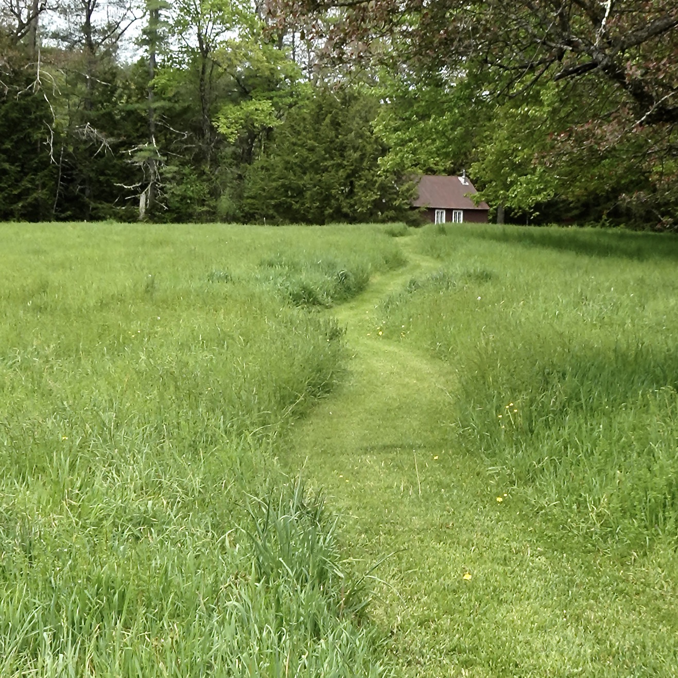 Winding Path – Leaf And Twig
