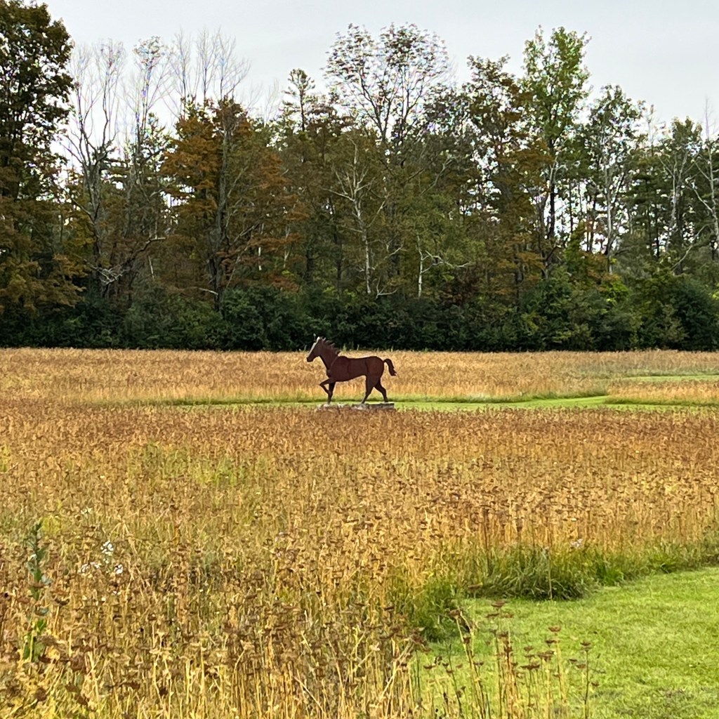 Steel Steed – Leaf And Twig