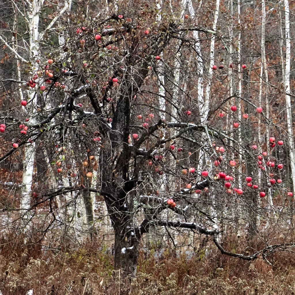 Like A Goddess – Leaf And Twig
