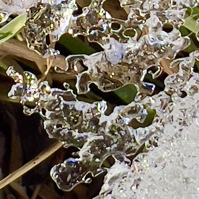 Marvel – Leaf And Twig