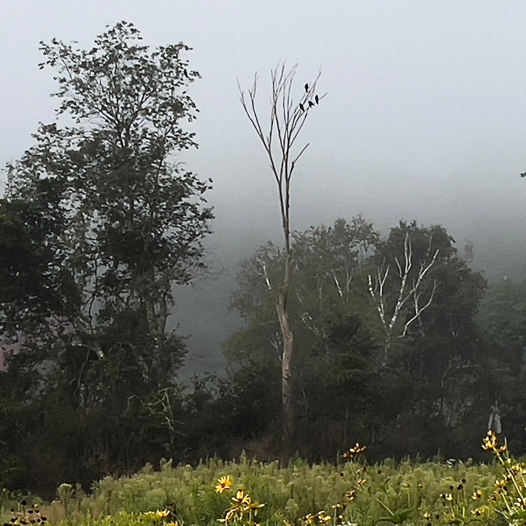 Wait Together – Leaf And Twig