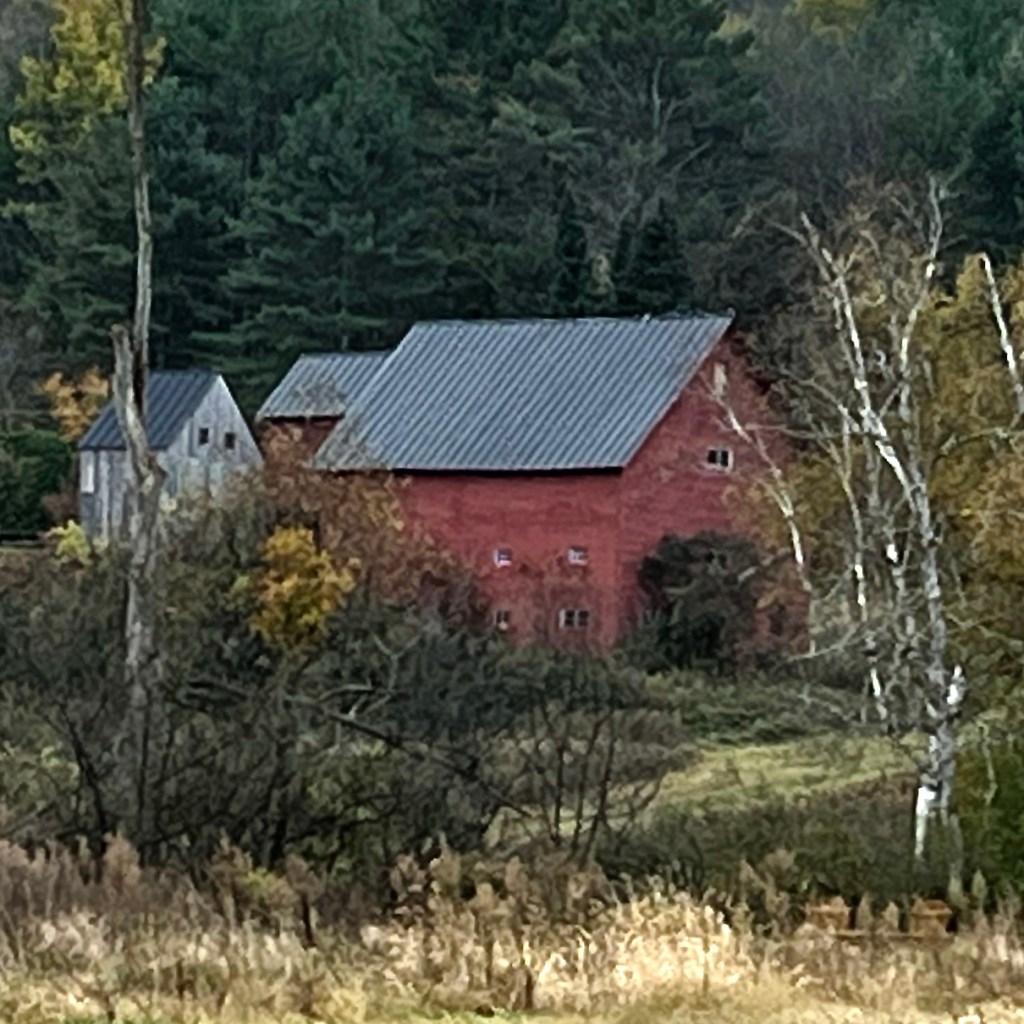 Wistful Windows – Leaf And Twig