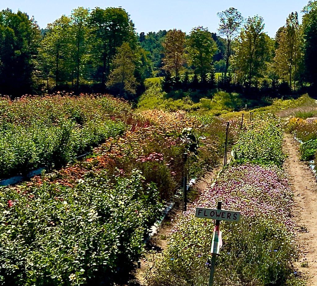 Flower Farm – Leaf And Twig