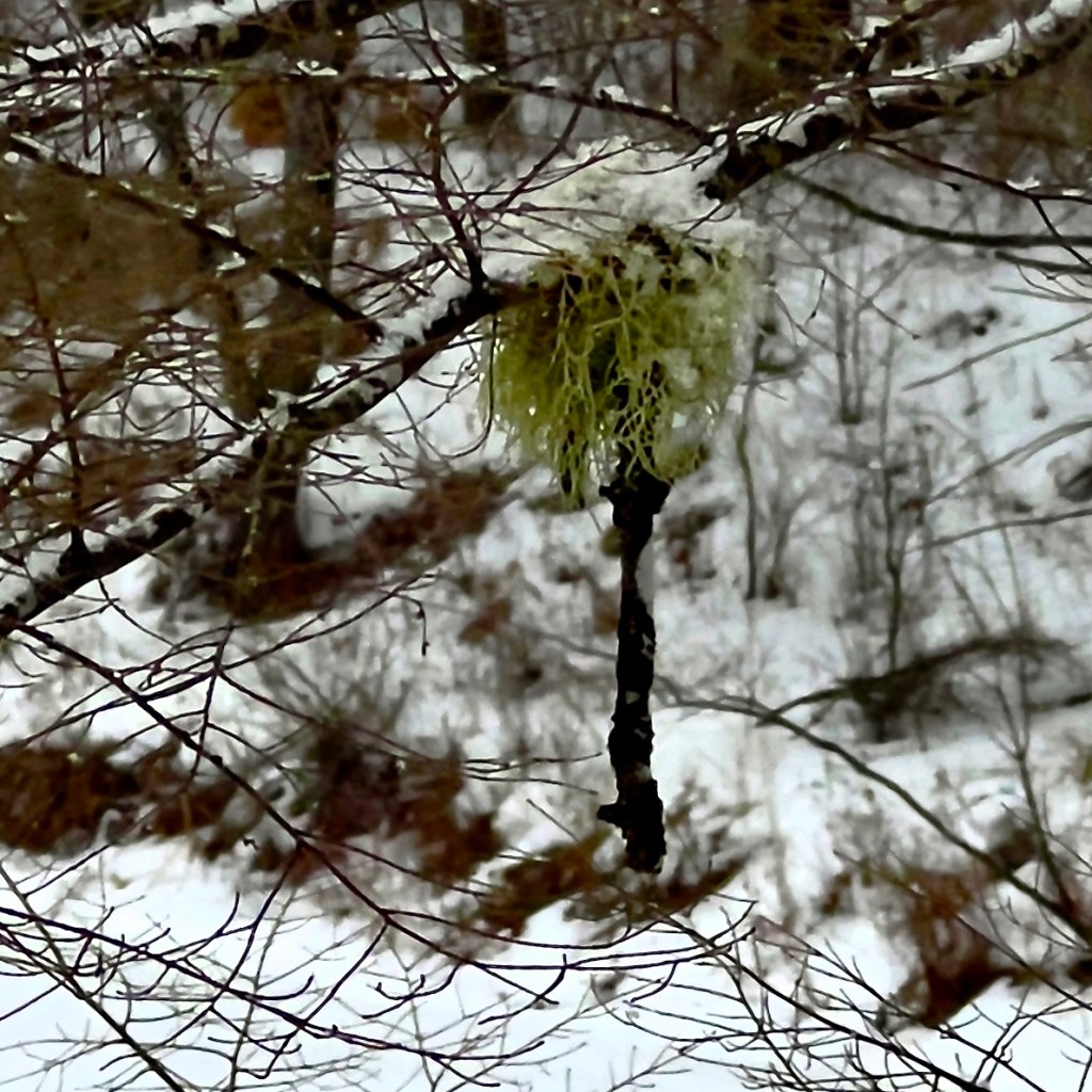 Wind Chime – Leaf And Twig